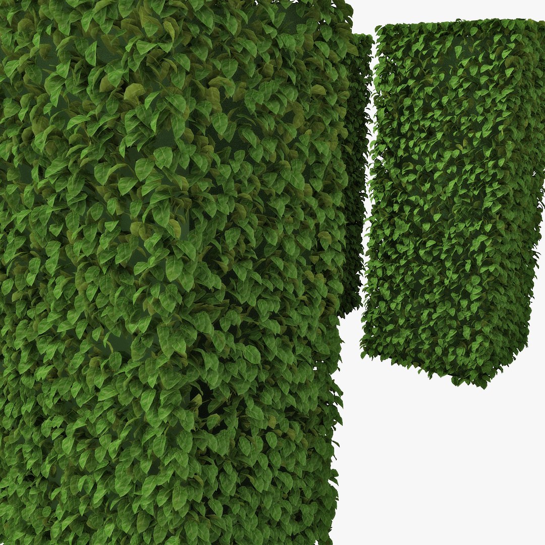 3d Hedge Model
