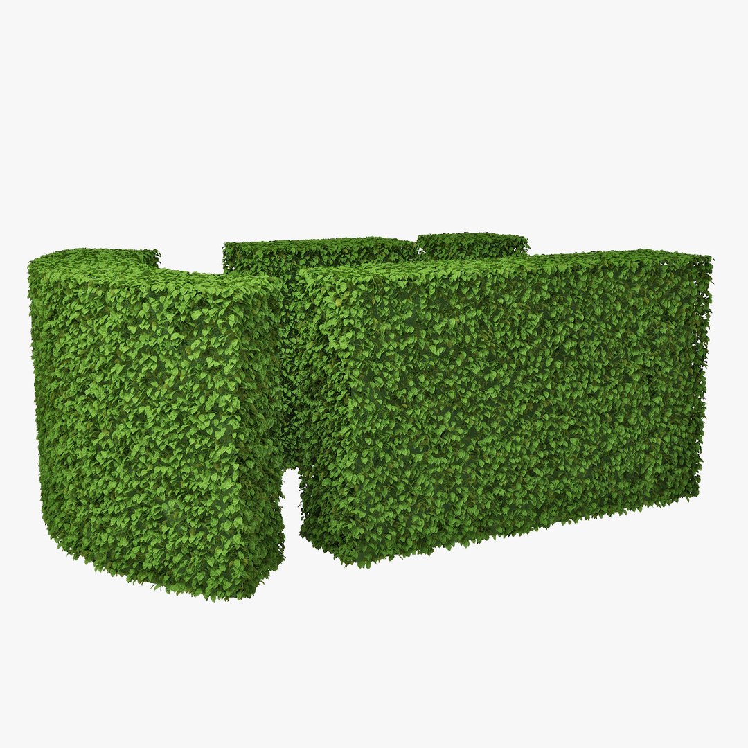 3d Hedge Model