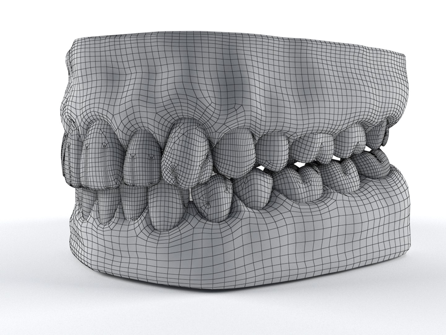 Human teeth gums 3D model - TurboSquid 1610926
