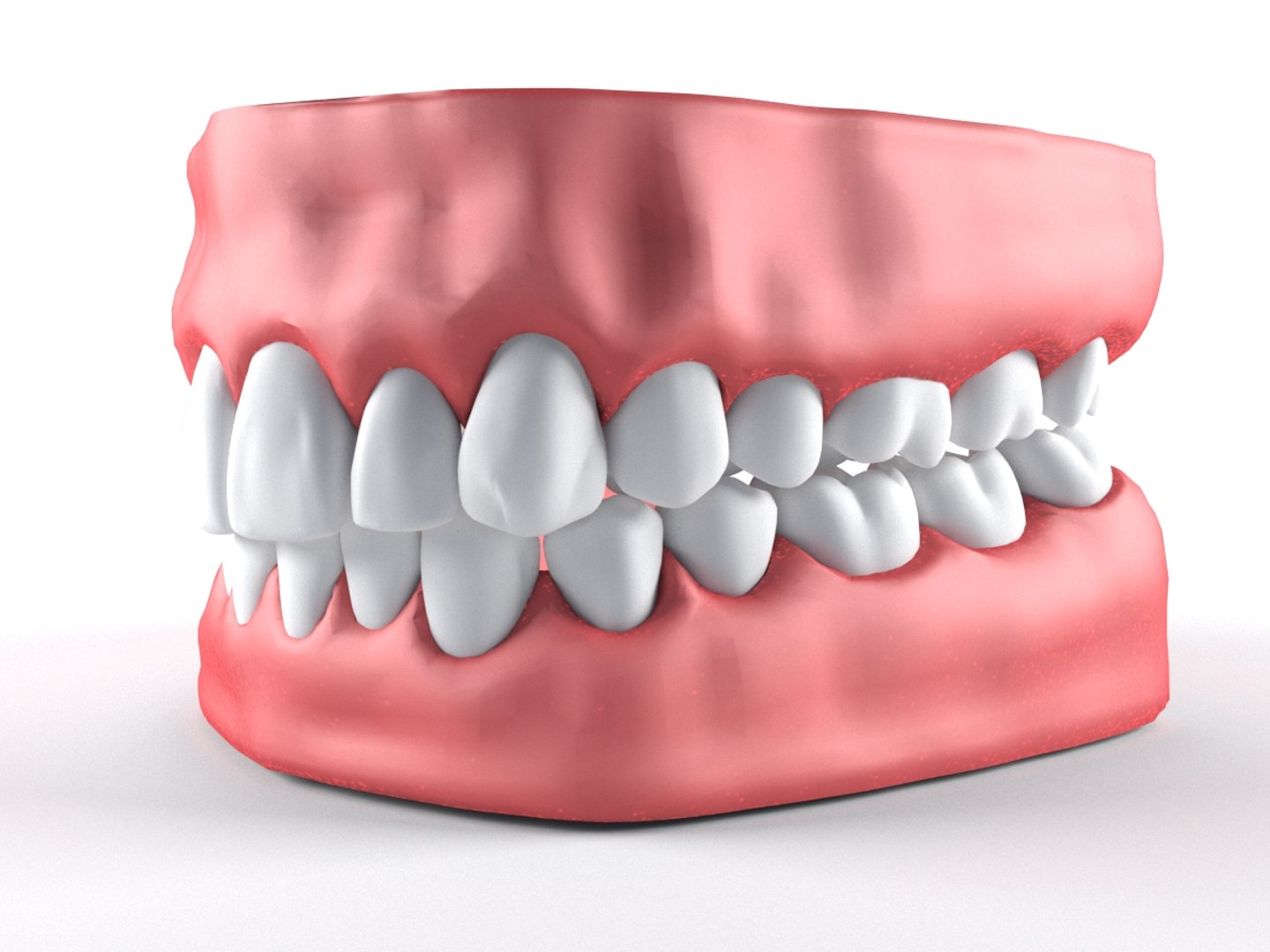 Human teeth gums 3D model - TurboSquid 1610926