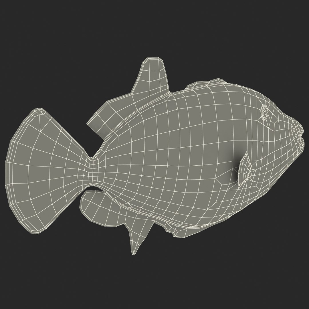 clown trigger fish 3d model