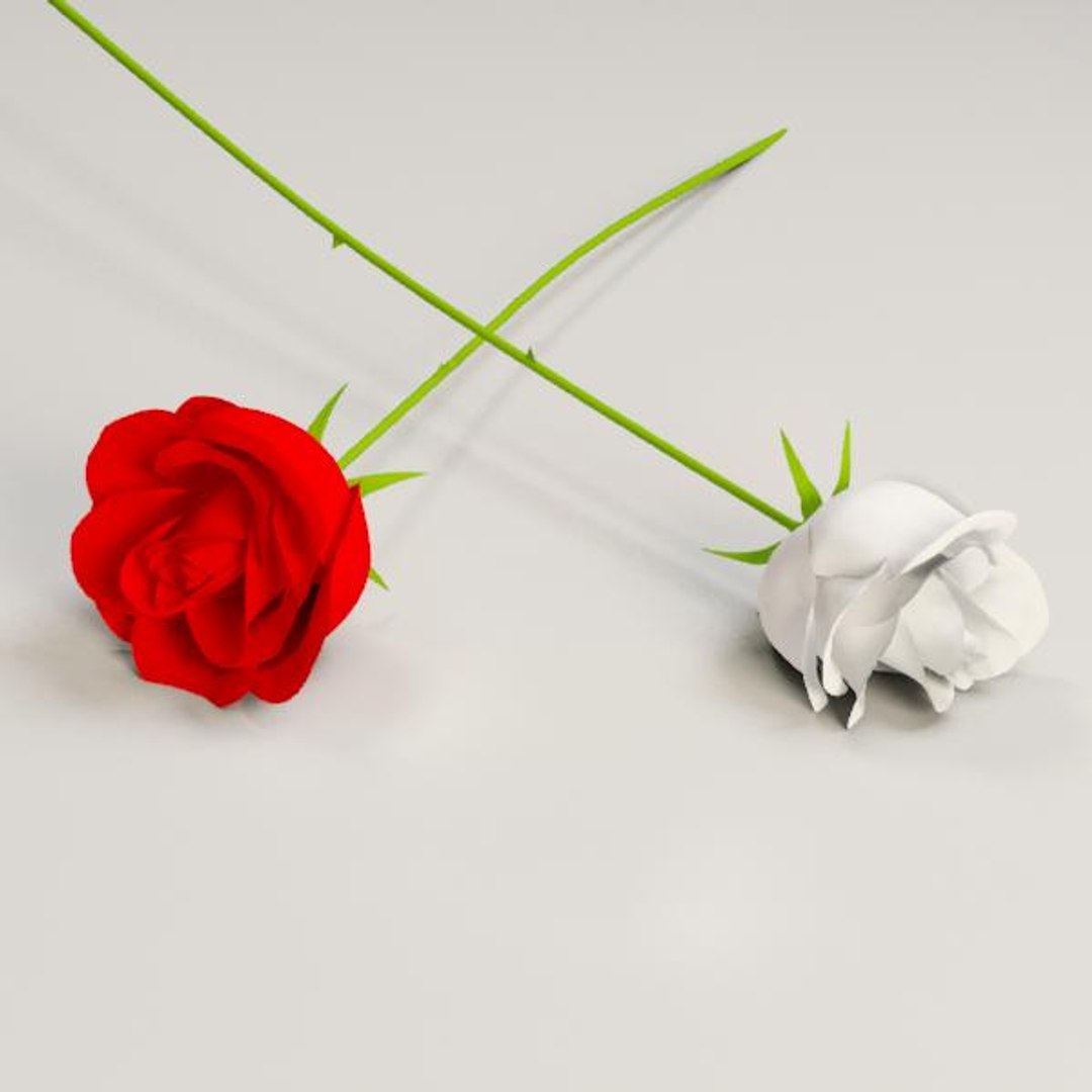 White Red Rose 3d Obj
