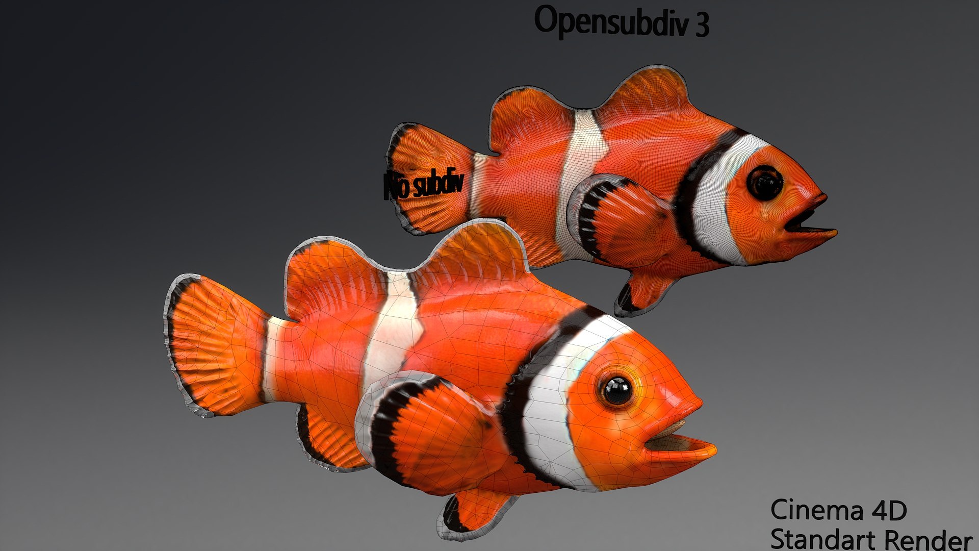 3D Clownfish Animations - TurboSquid 1518681