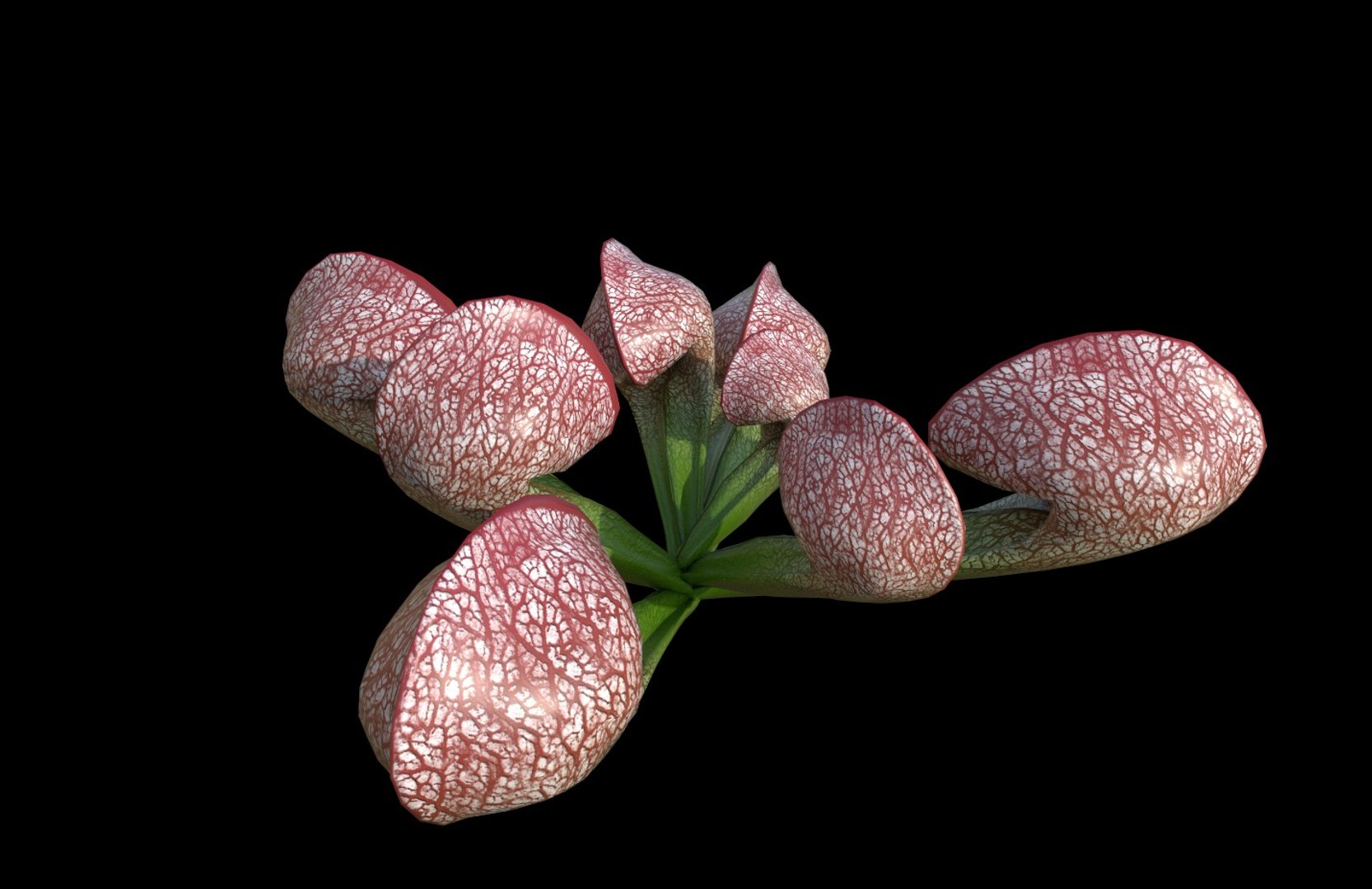 Lobster Pots Plants Model - TurboSquid 1466307