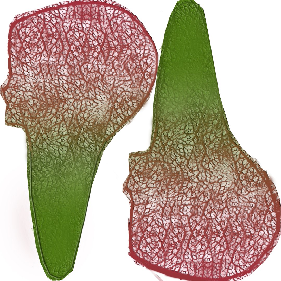 Lobster Pots Plants Model - TurboSquid 1466307