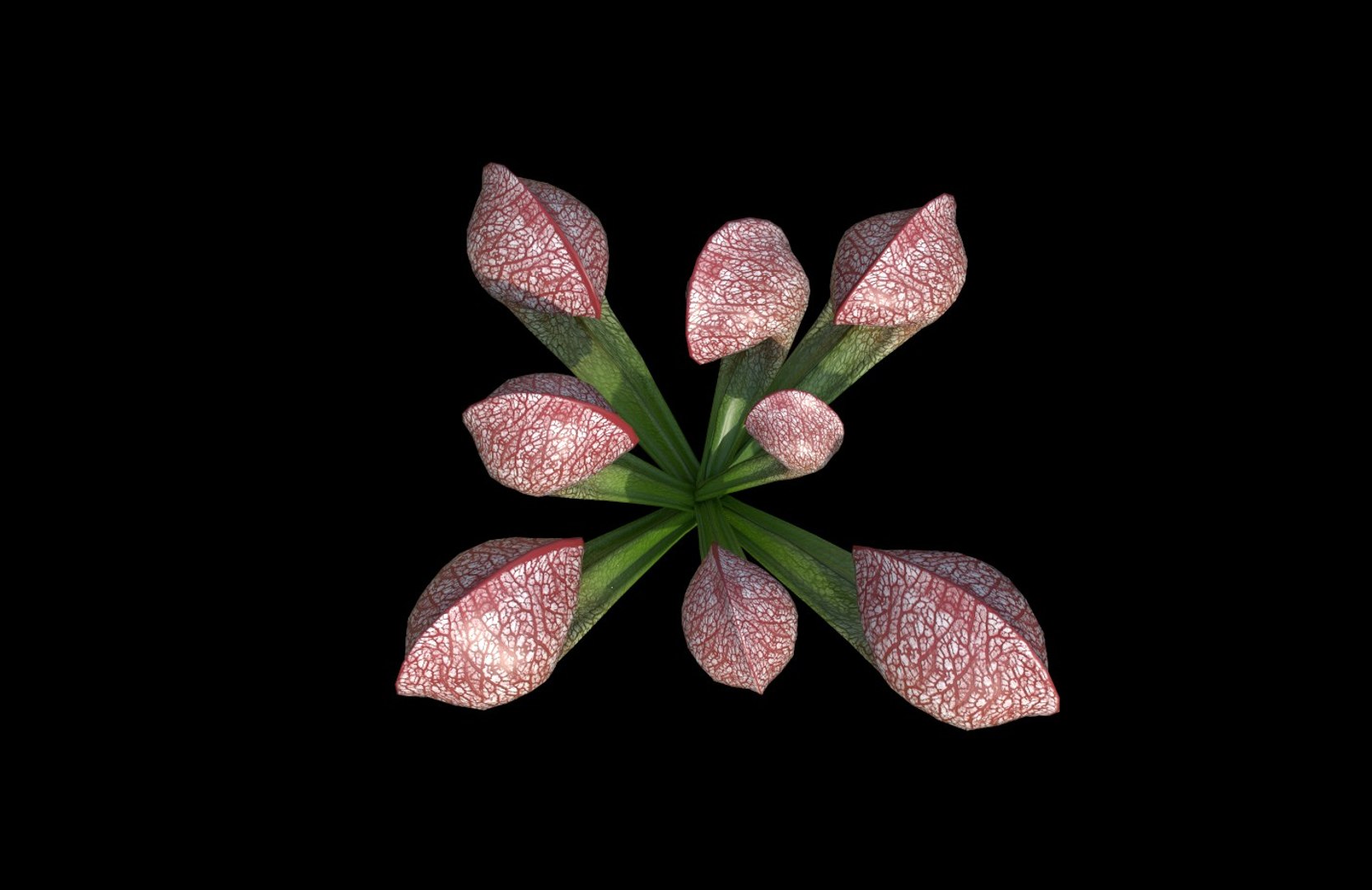 Lobster Pots Plants Model - TurboSquid 1466307