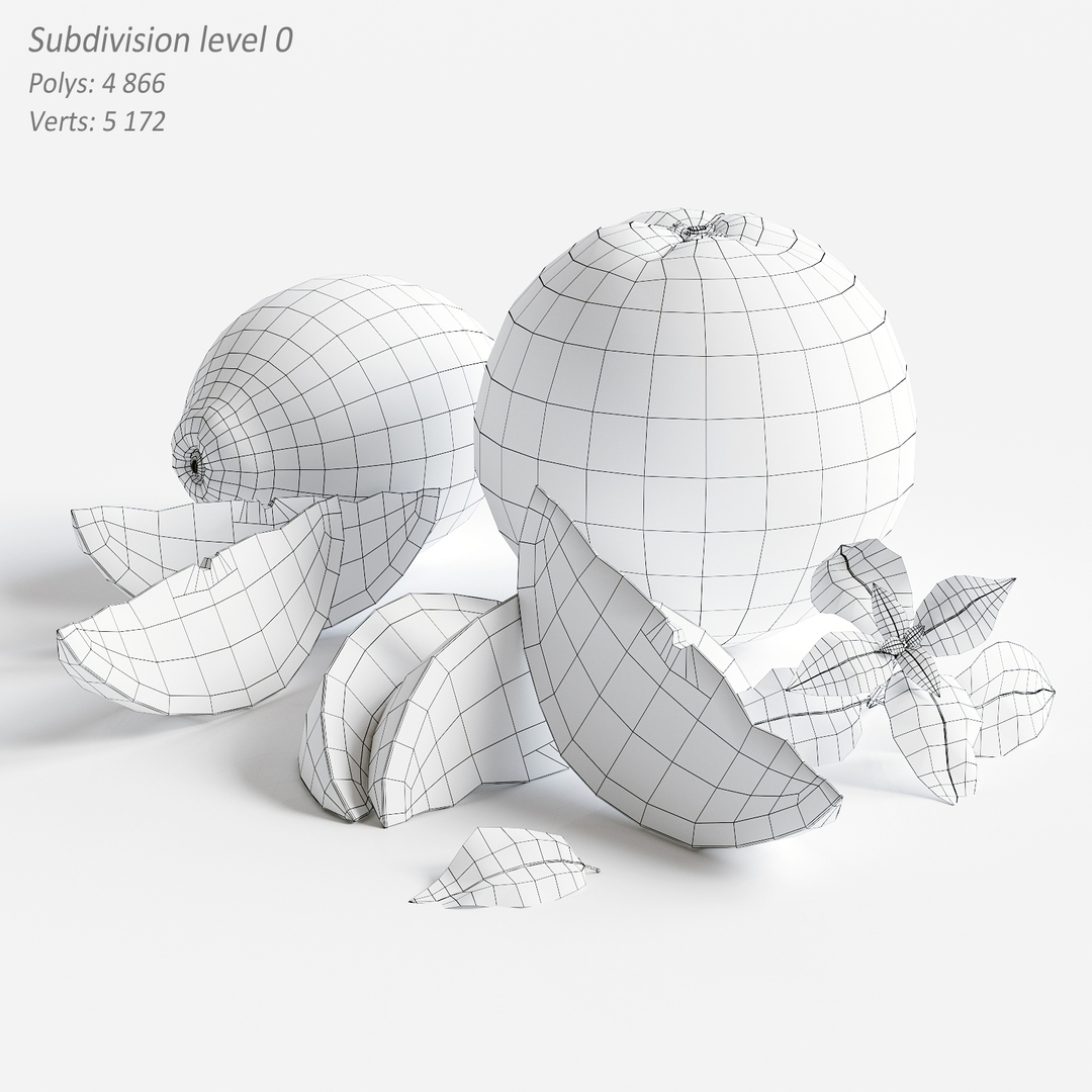 3d citrus fruit mint model