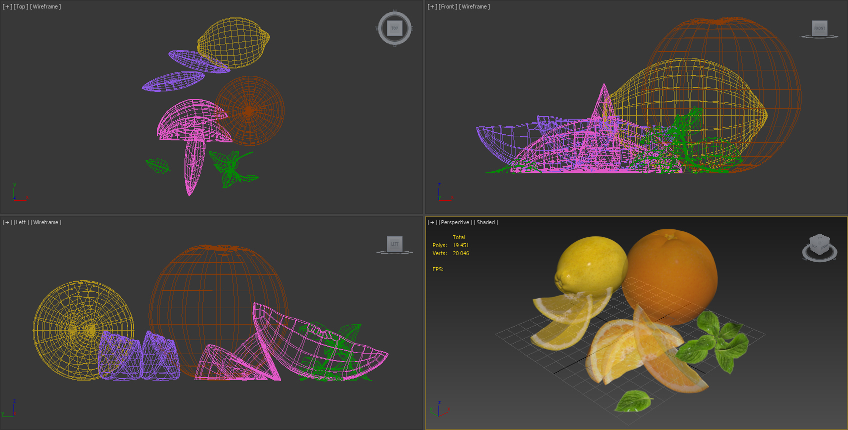 3d citrus fruit mint model