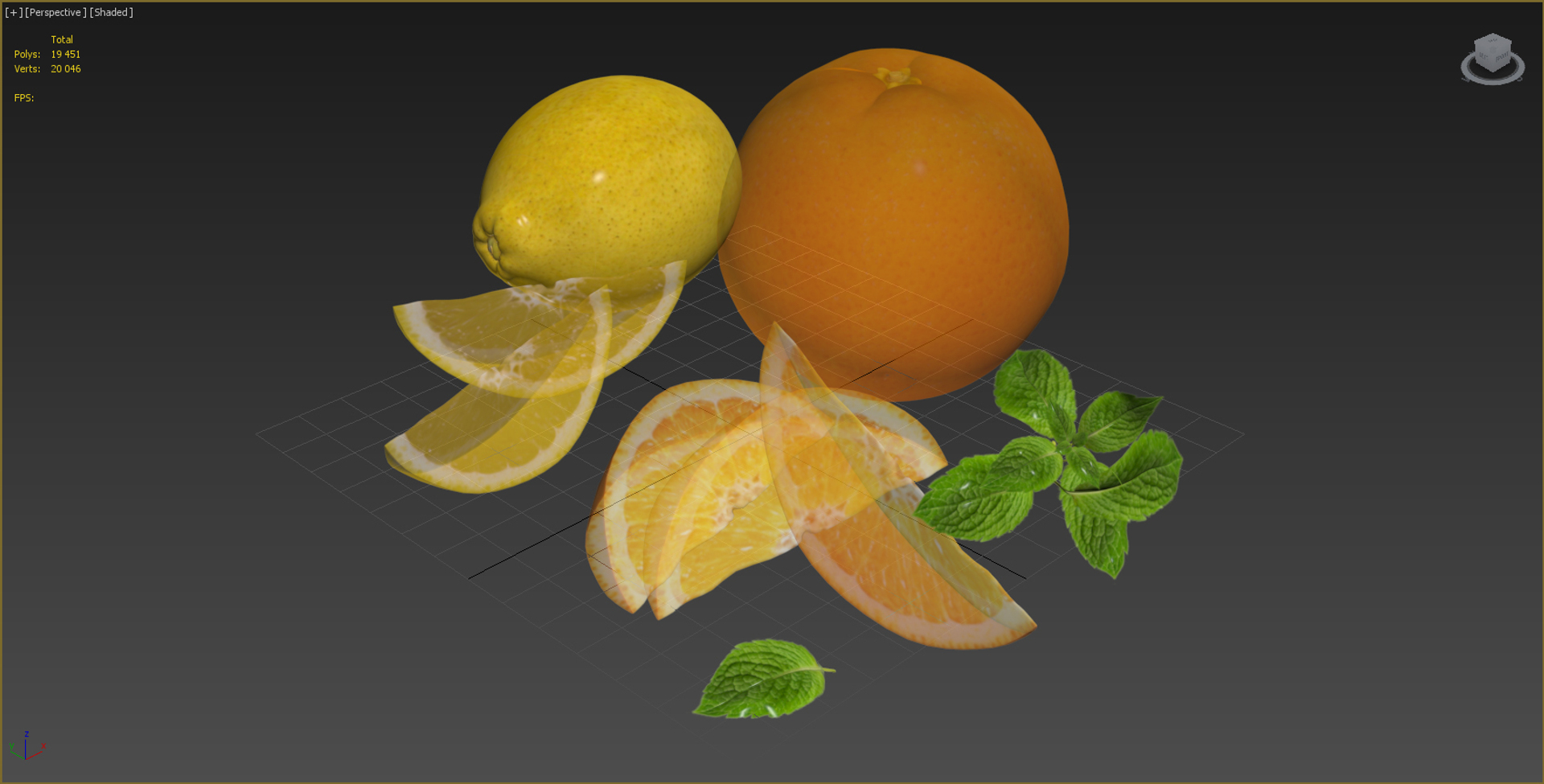 3d citrus fruit mint model