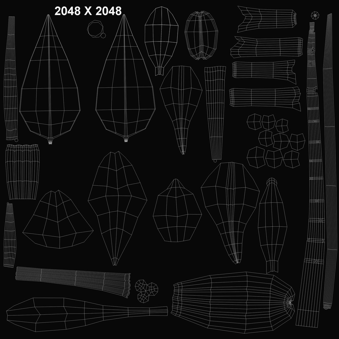 Lilium Candidum 3d Model
