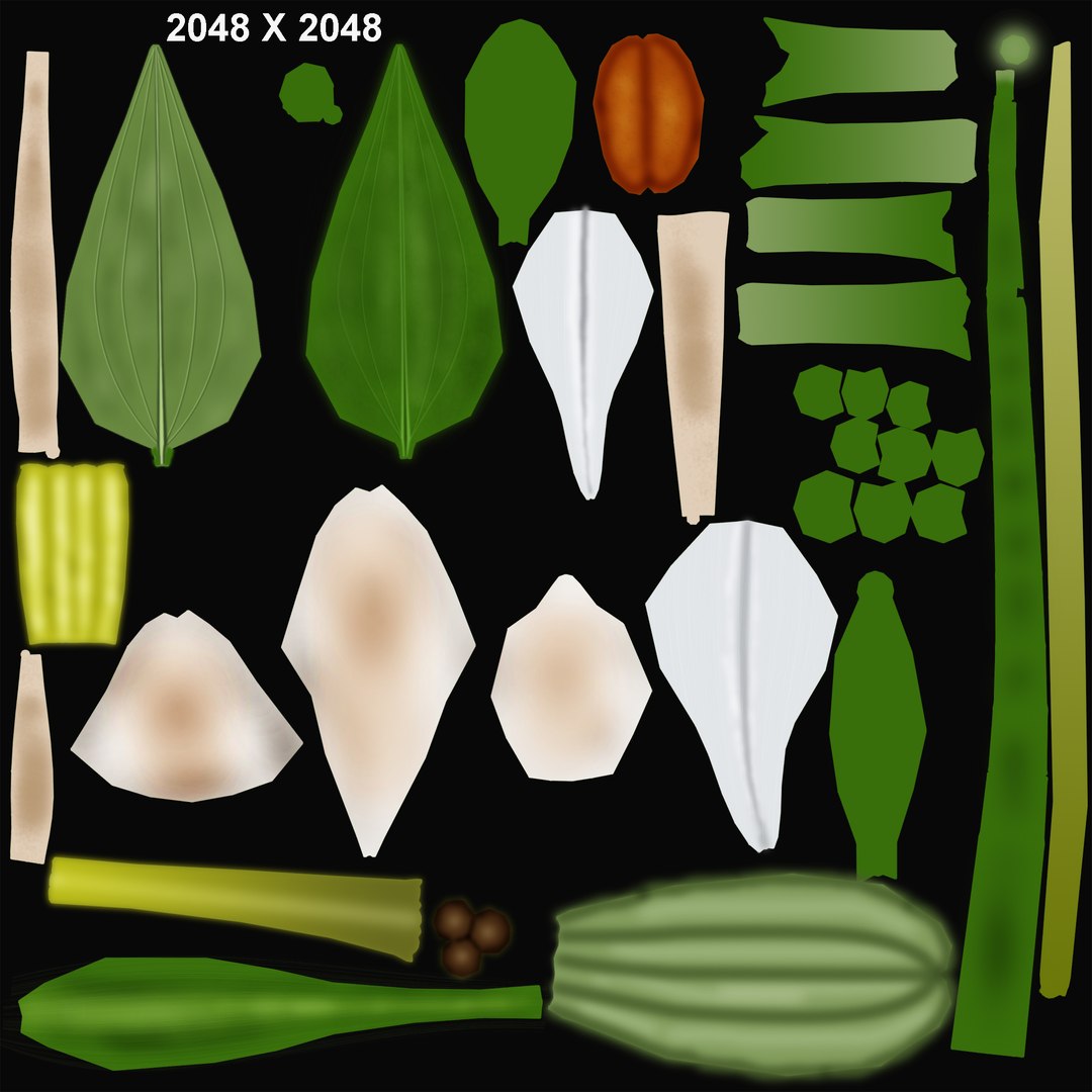 Lilium Candidum 3d Model