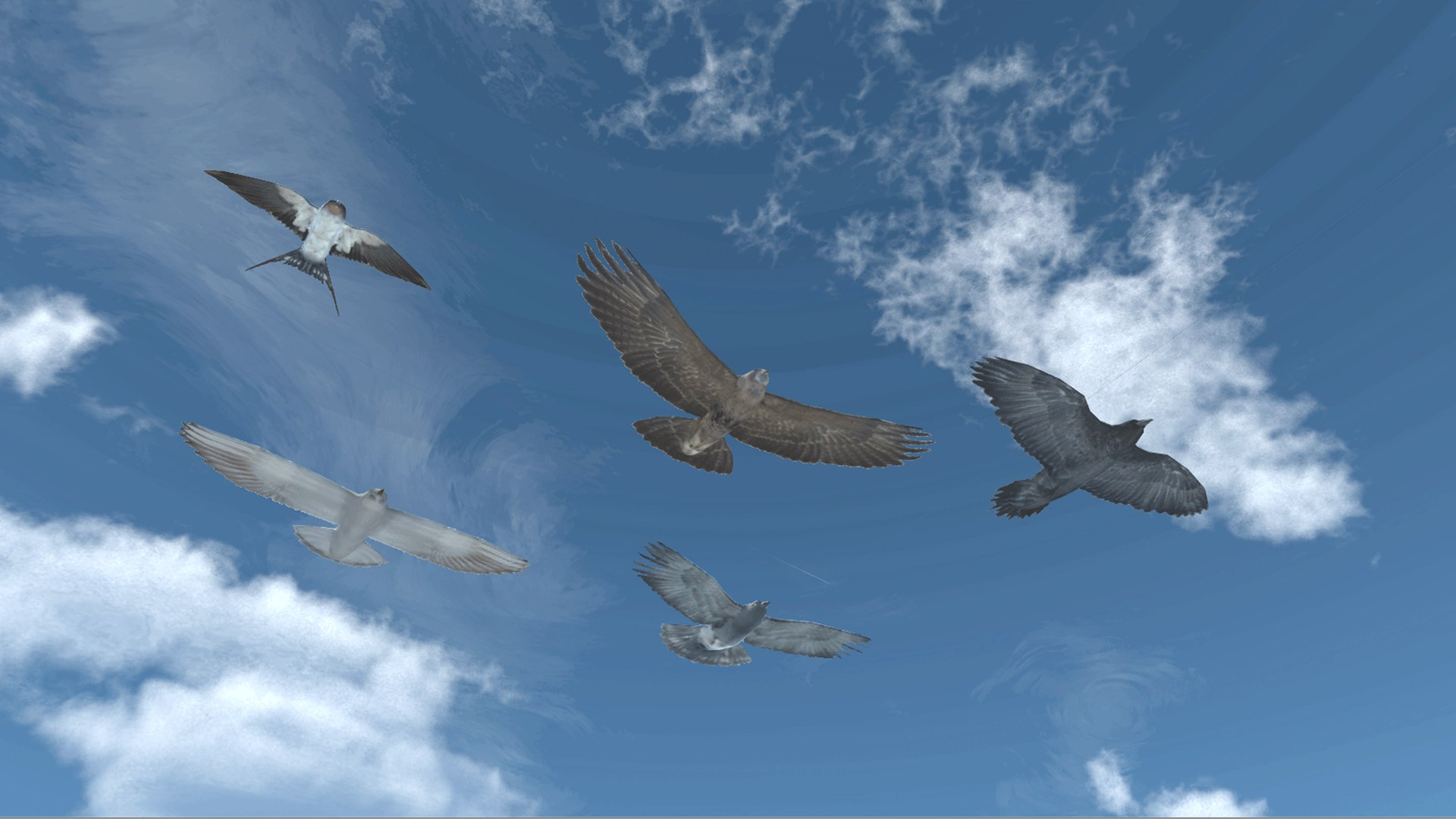 Vr Soaring Birds - 3D Model - TurboSquid 1436421