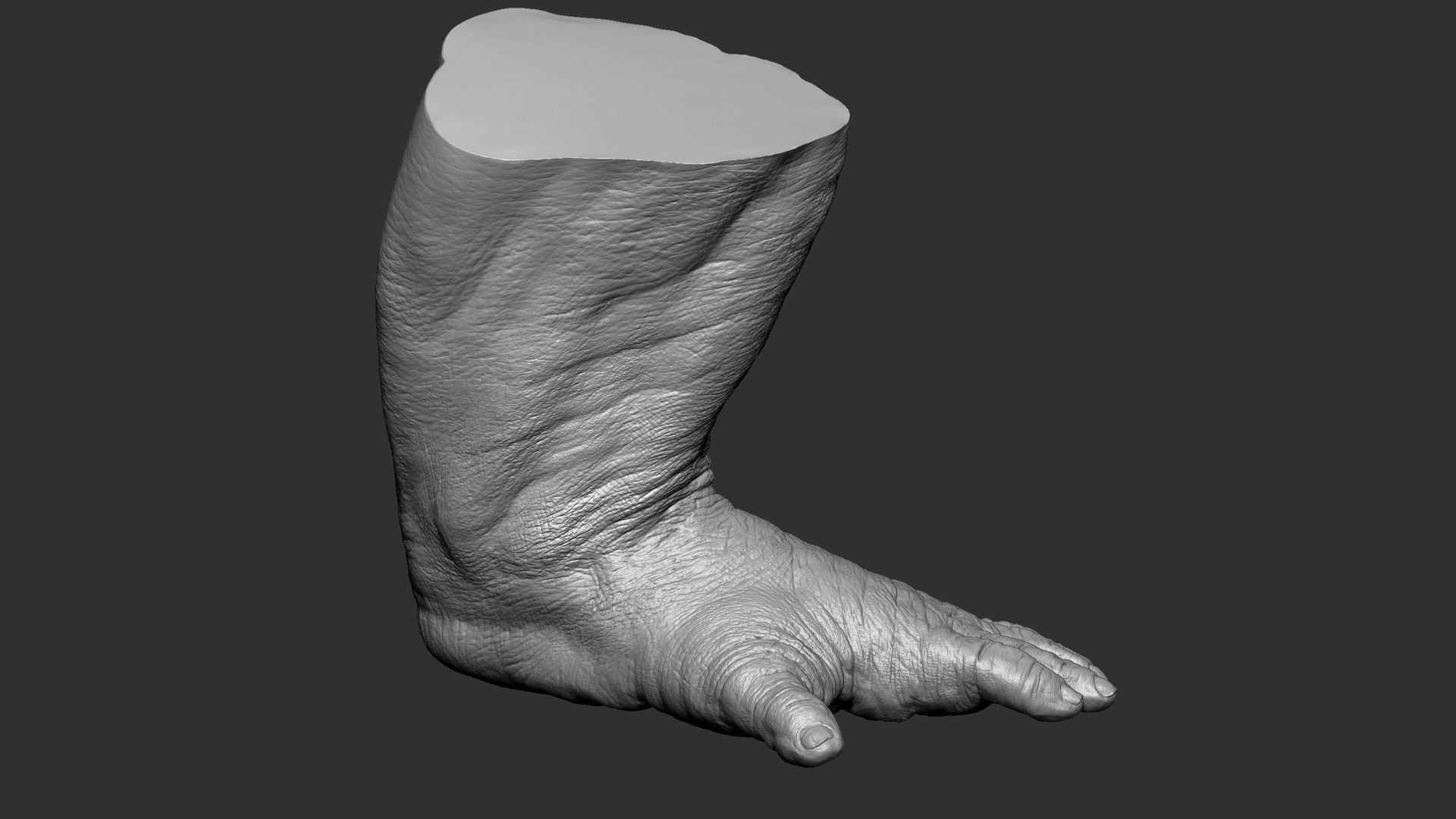 3D Model Gorilla Feet - TurboSquid 1839642