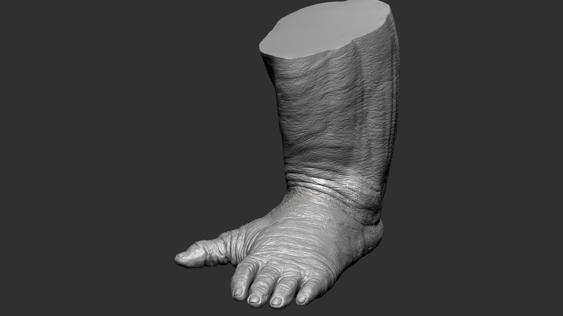 3D Model Gorilla Feet - TurboSquid 1839642