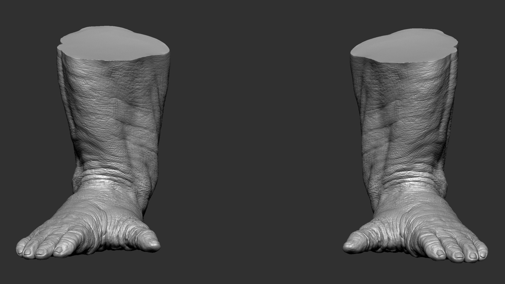 3D Model Gorilla Feet - TurboSquid 1839642