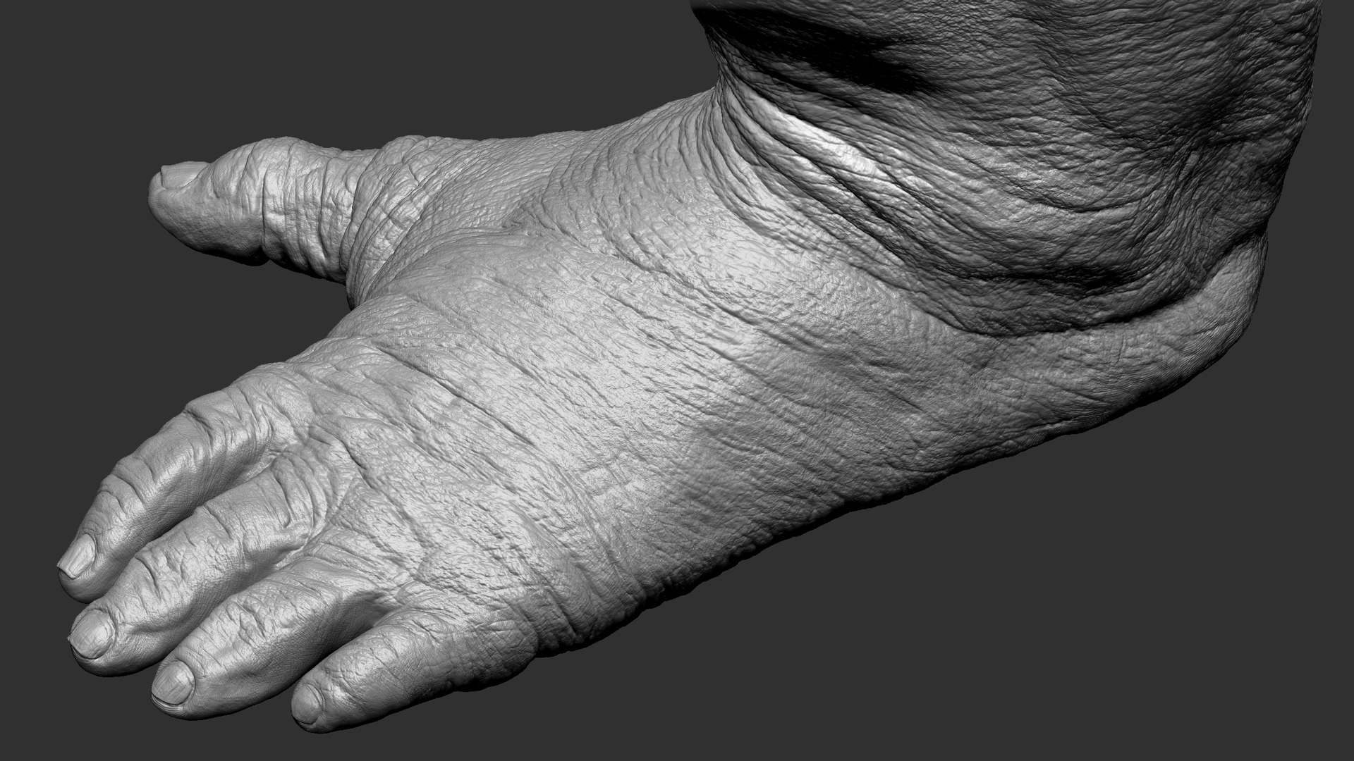 3D Model Gorilla Feet - TurboSquid 1839642