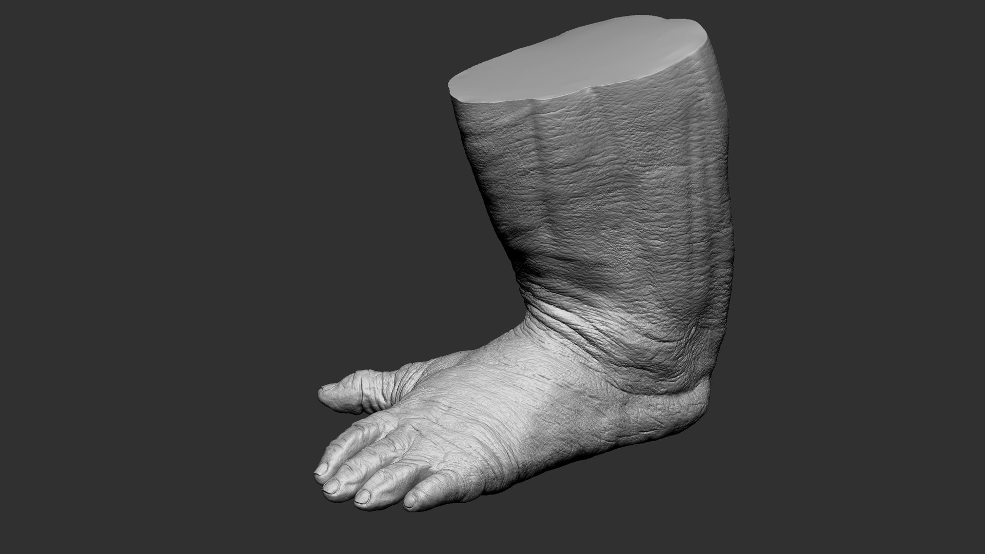 3D Model Gorilla Feet - TurboSquid 1839642