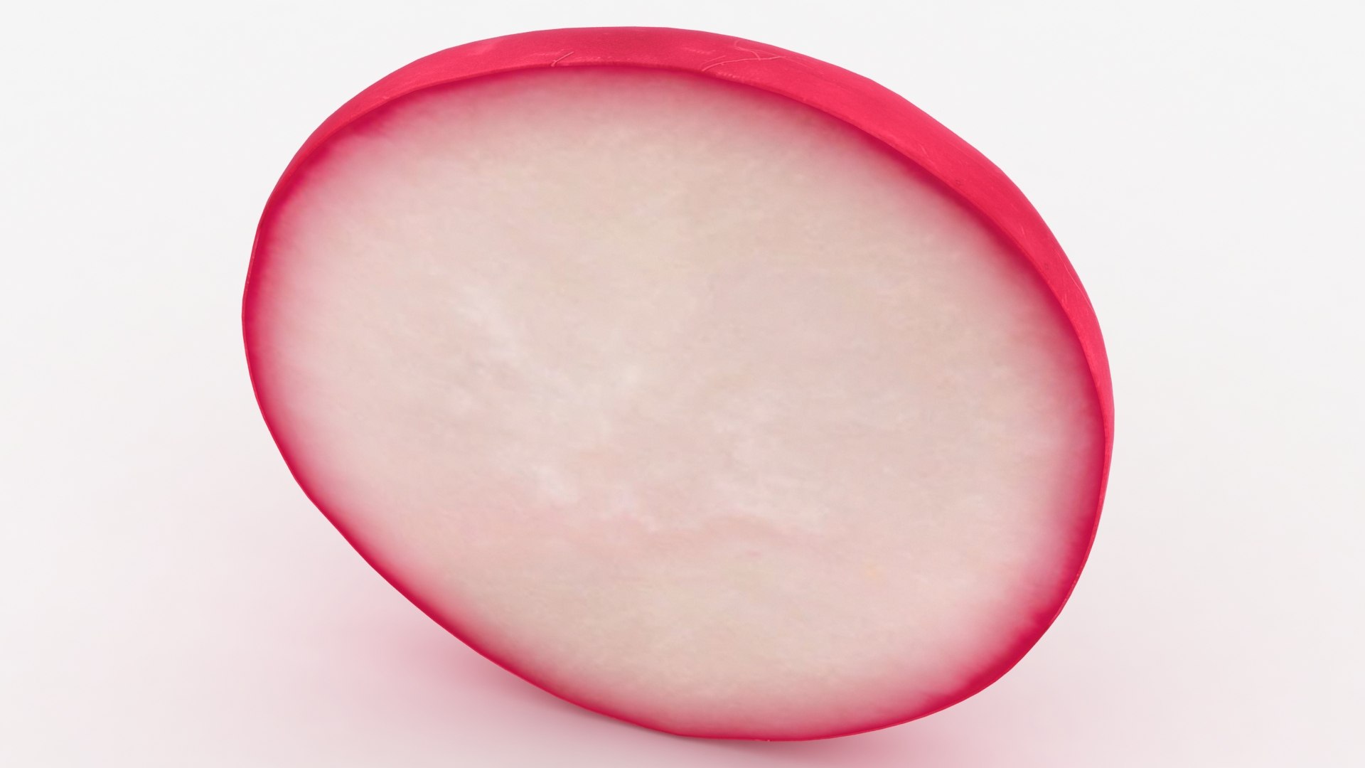 Realistic Radish Slice 3D Model - TurboSquid 1523107
