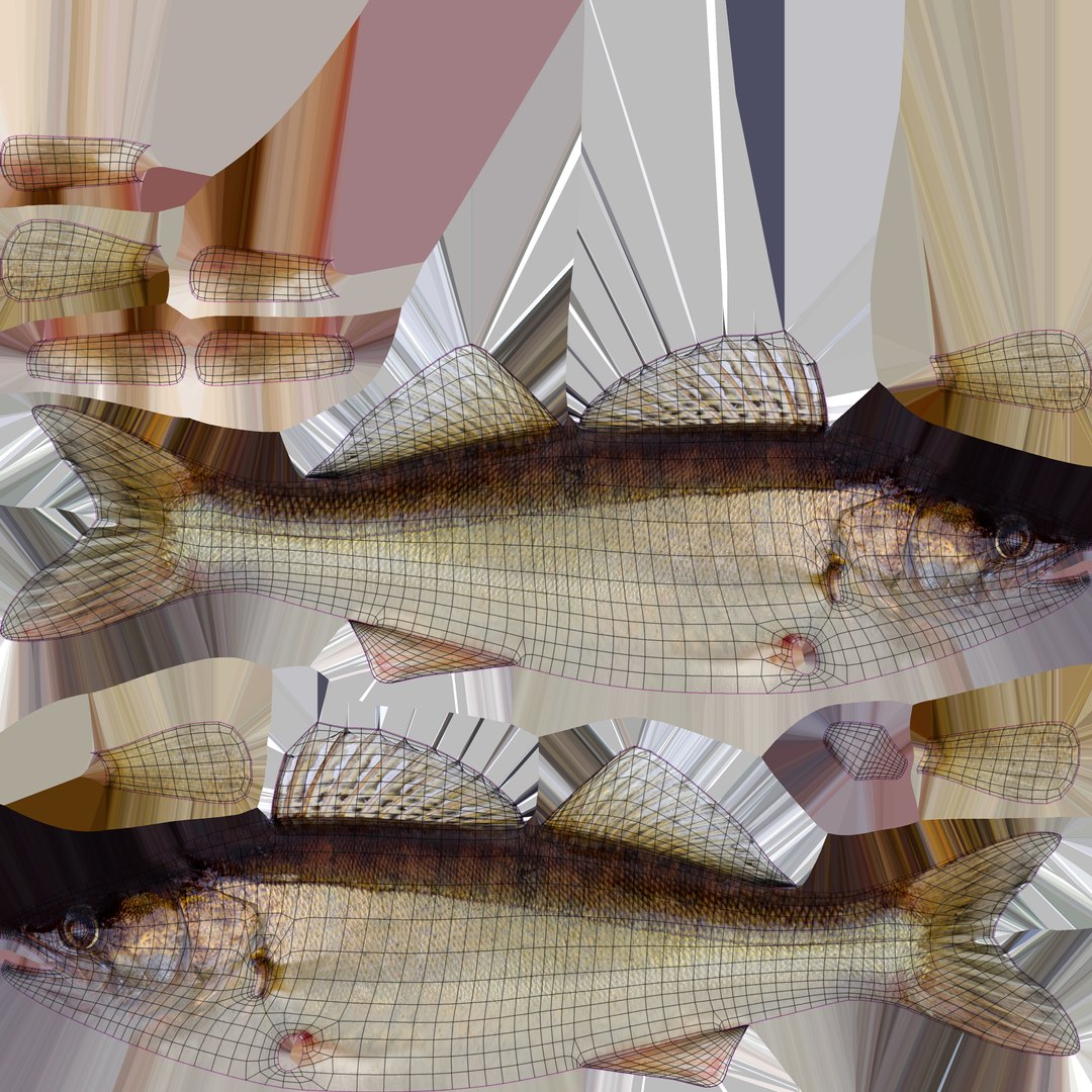 Walleye Pbr 3D Model - TurboSquid 1325862