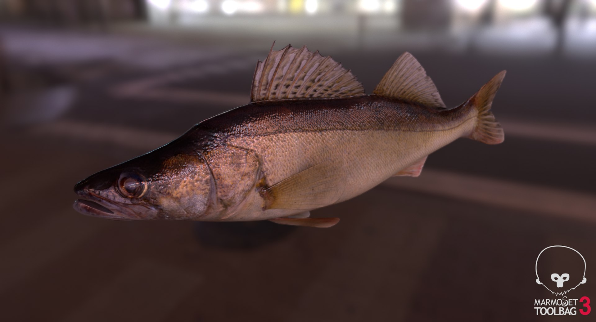 Walleye Pbr 3D Model - TurboSquid 1325862