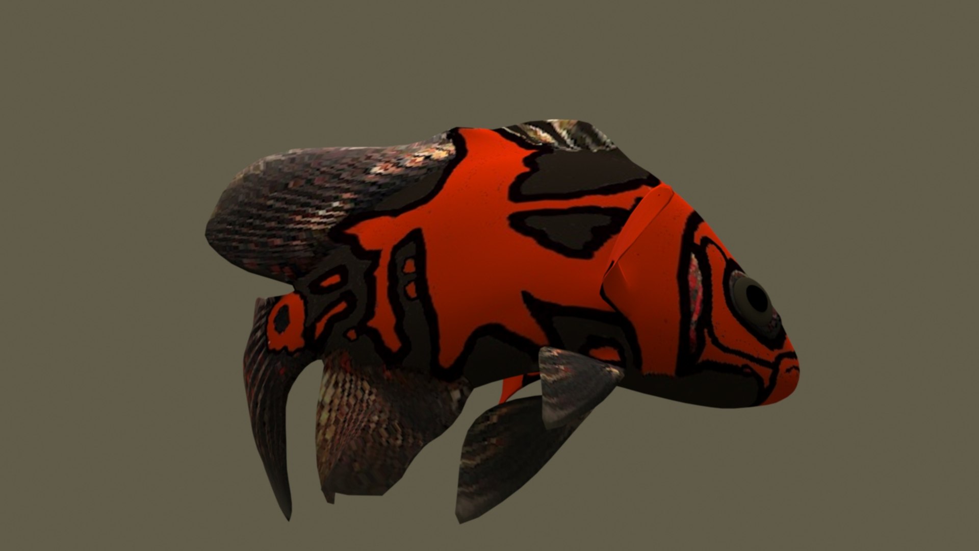 3D Astronotus Fish - TurboSquid 1242953
