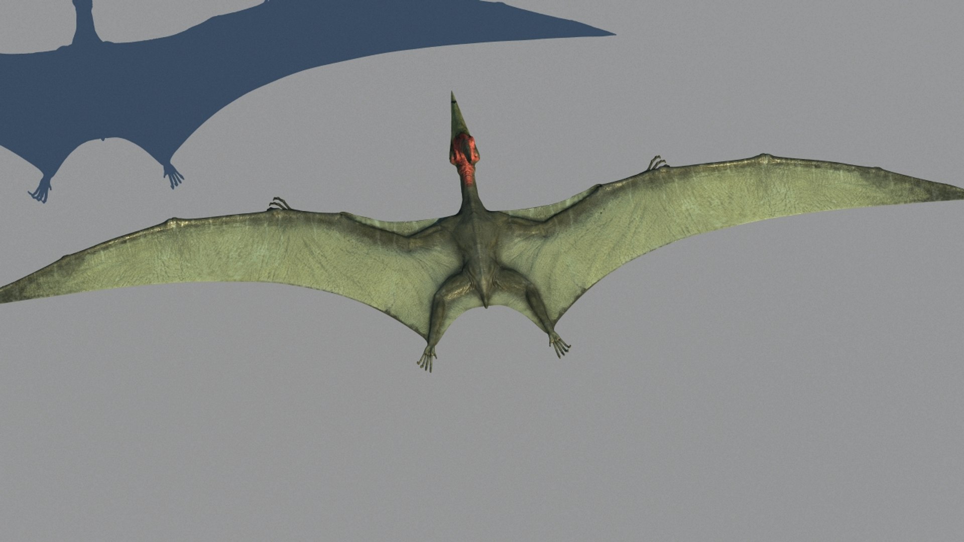 3d Pterodon Model