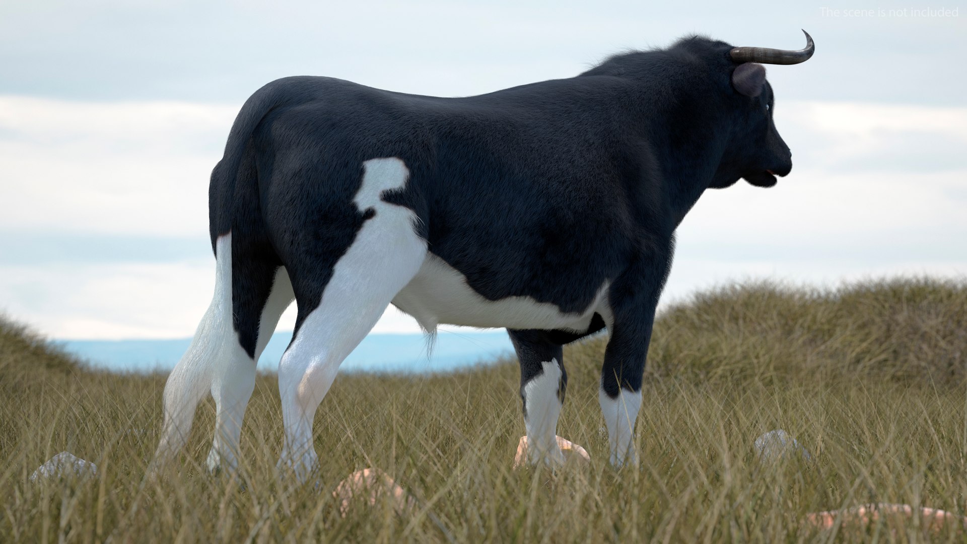 Black Bull Fur 3D - TurboSquid 1984593