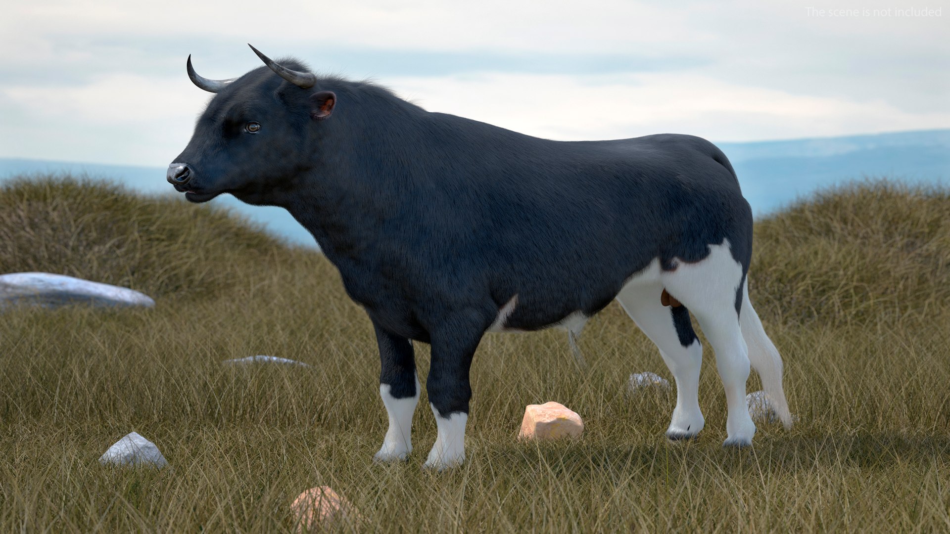Black Bull Fur 3D - TurboSquid 1984593