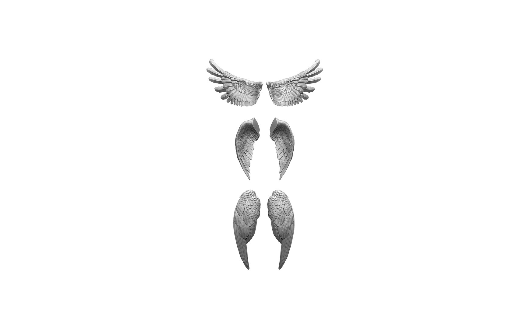 Decoration element wings 3D model - TurboSquid 2132910