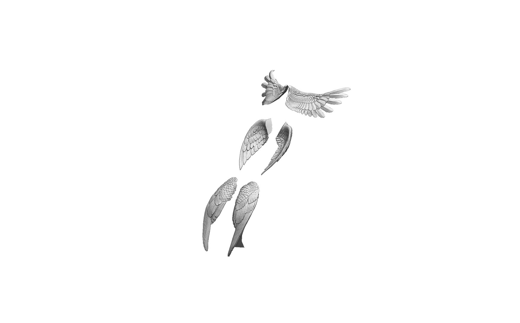 Decoration element wings 3D model - TurboSquid 2132910