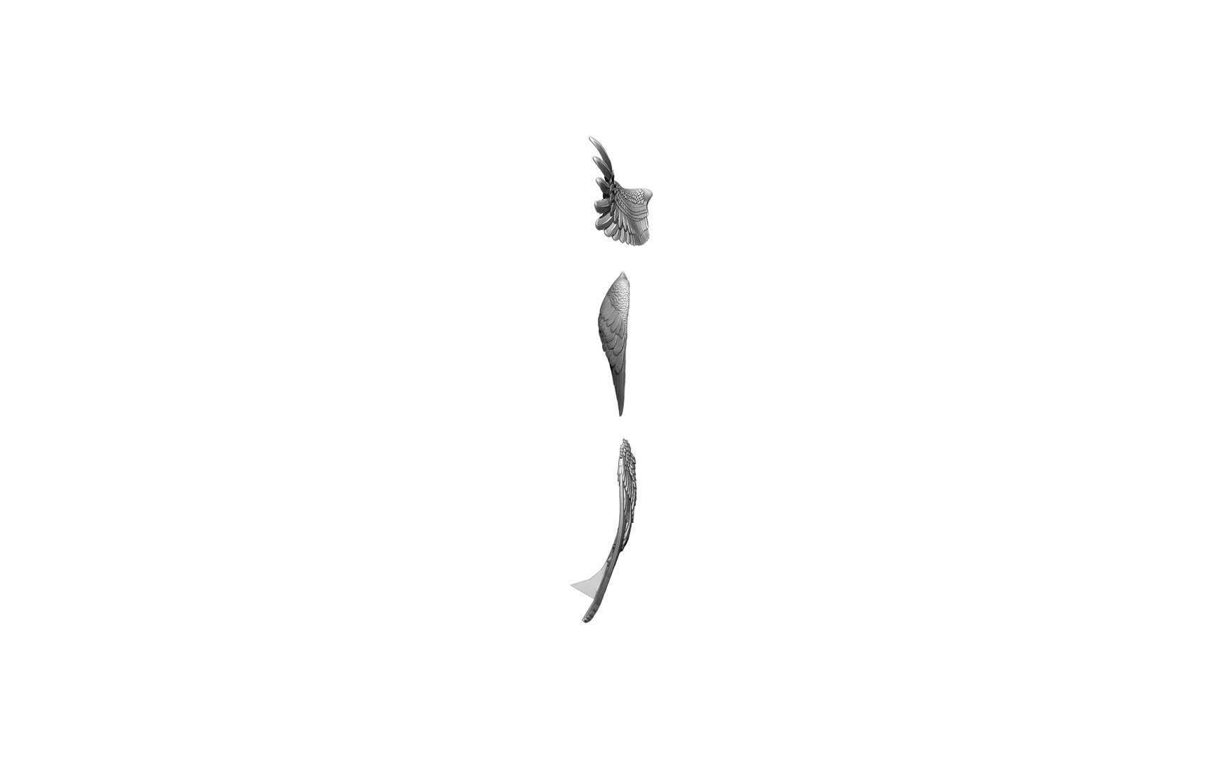 Decoration Element Wings 3D Model - TurboSquid 2132910
