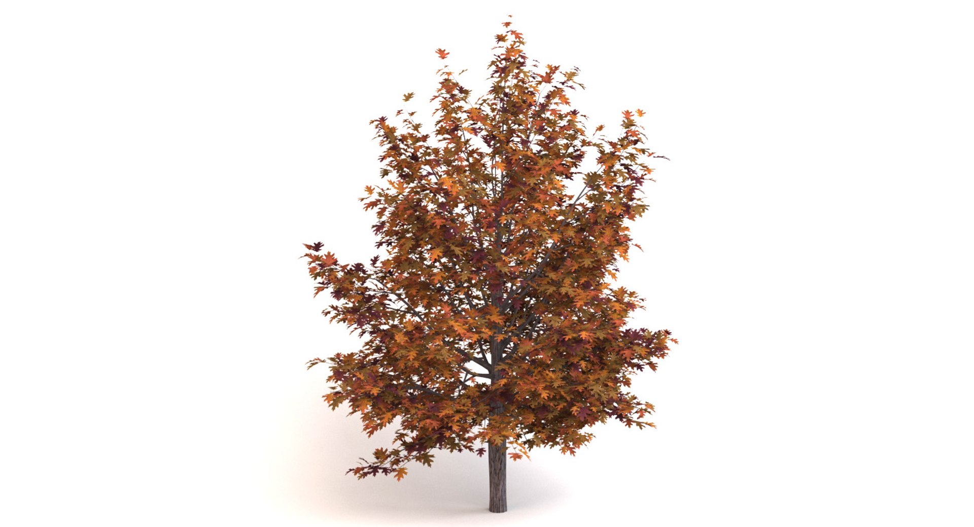 3D Model Oak Tree Autumn - TurboSquid 1419458