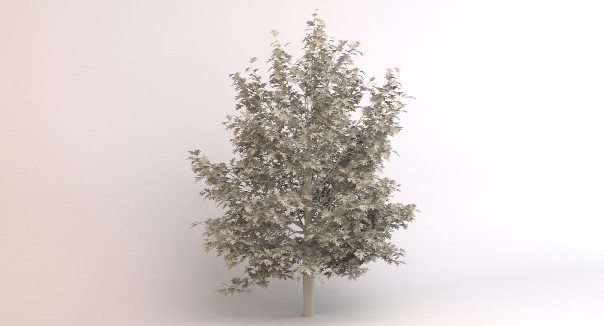 3D Model Oak Tree Autumn - TurboSquid 1419458