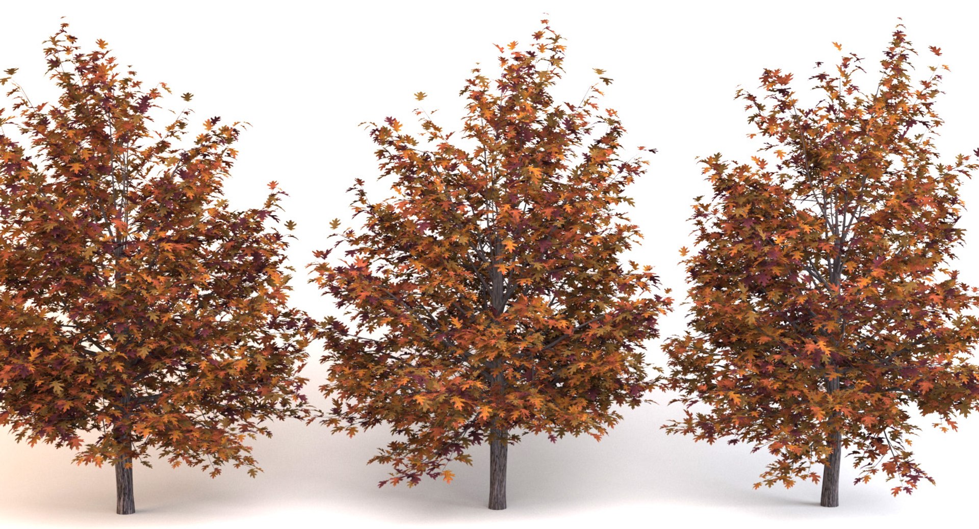 3D Model Oak Tree Autumn - TurboSquid 1419458