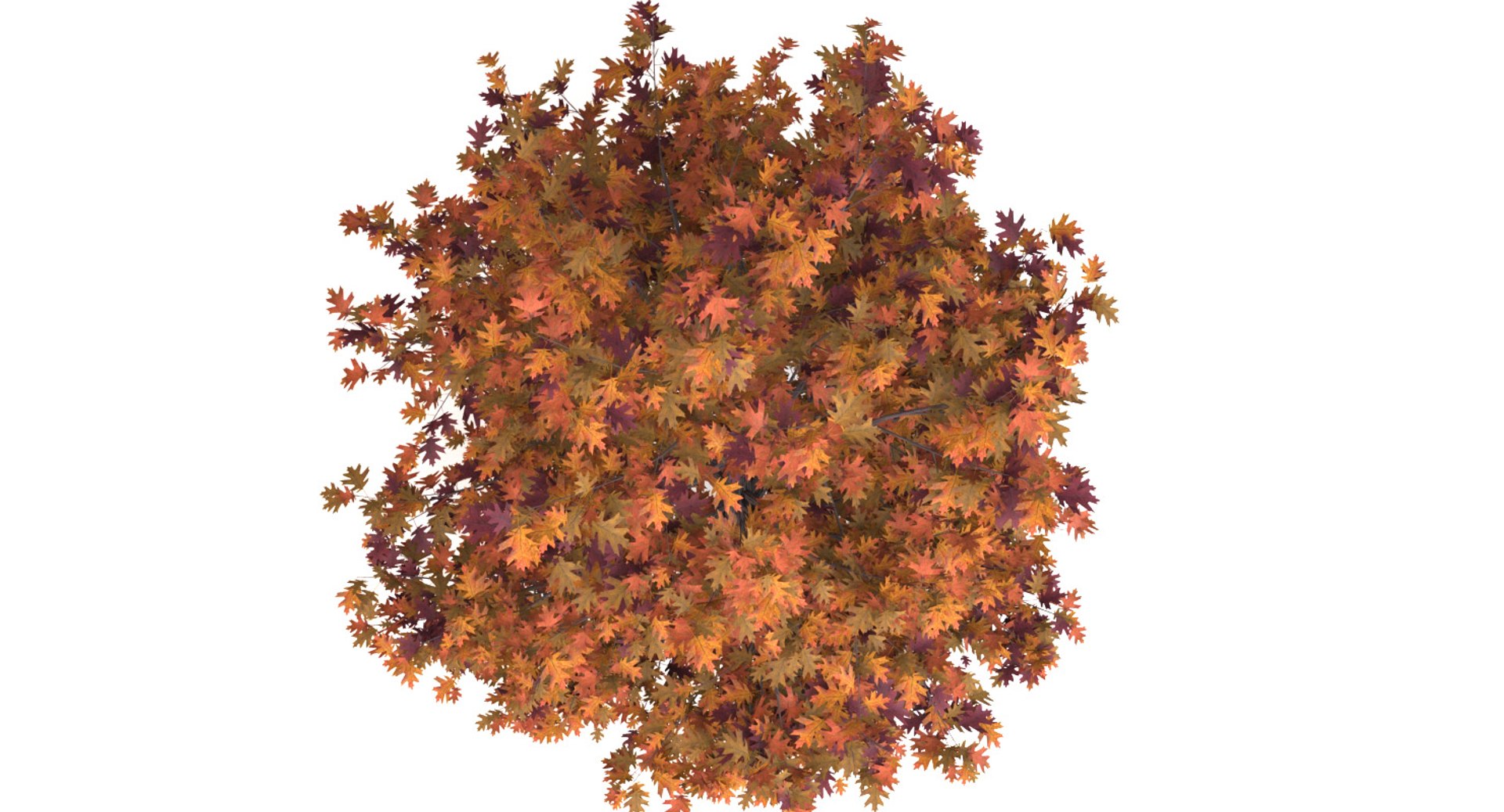 3D Model Oak Tree Autumn - TurboSquid 1419458