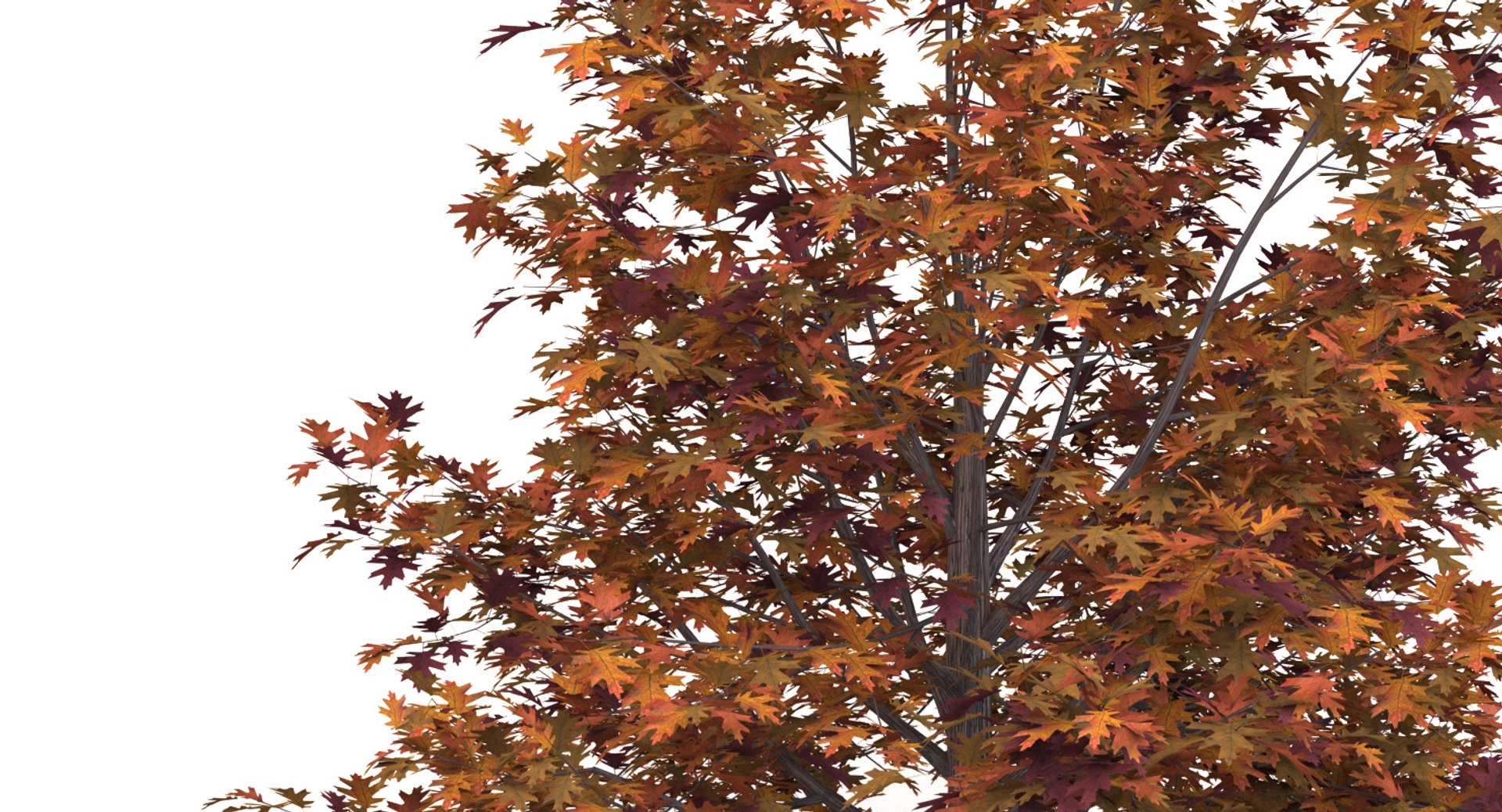 3D Model Oak Tree Autumn - TurboSquid 1419458