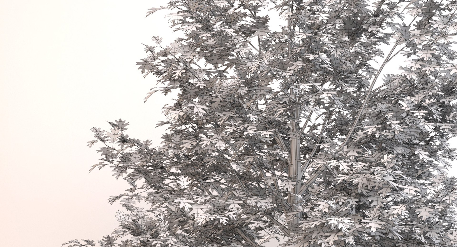 3D Model Oak Tree Autumn - TurboSquid 1419458