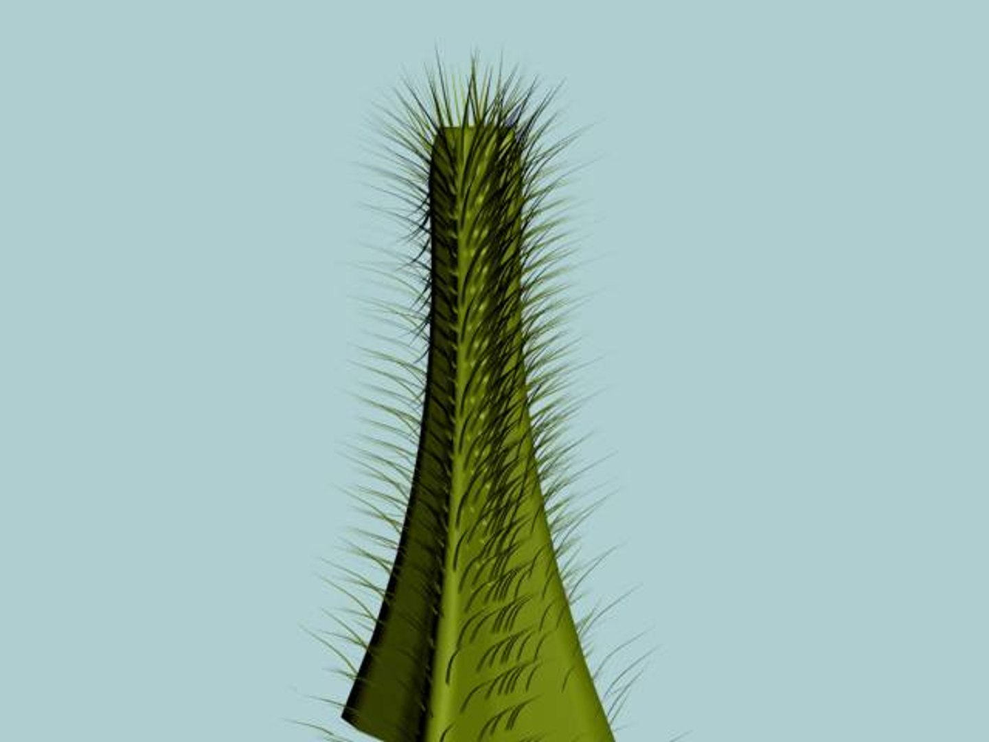 3d cactus model