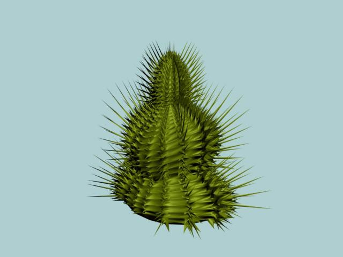3d cactus model