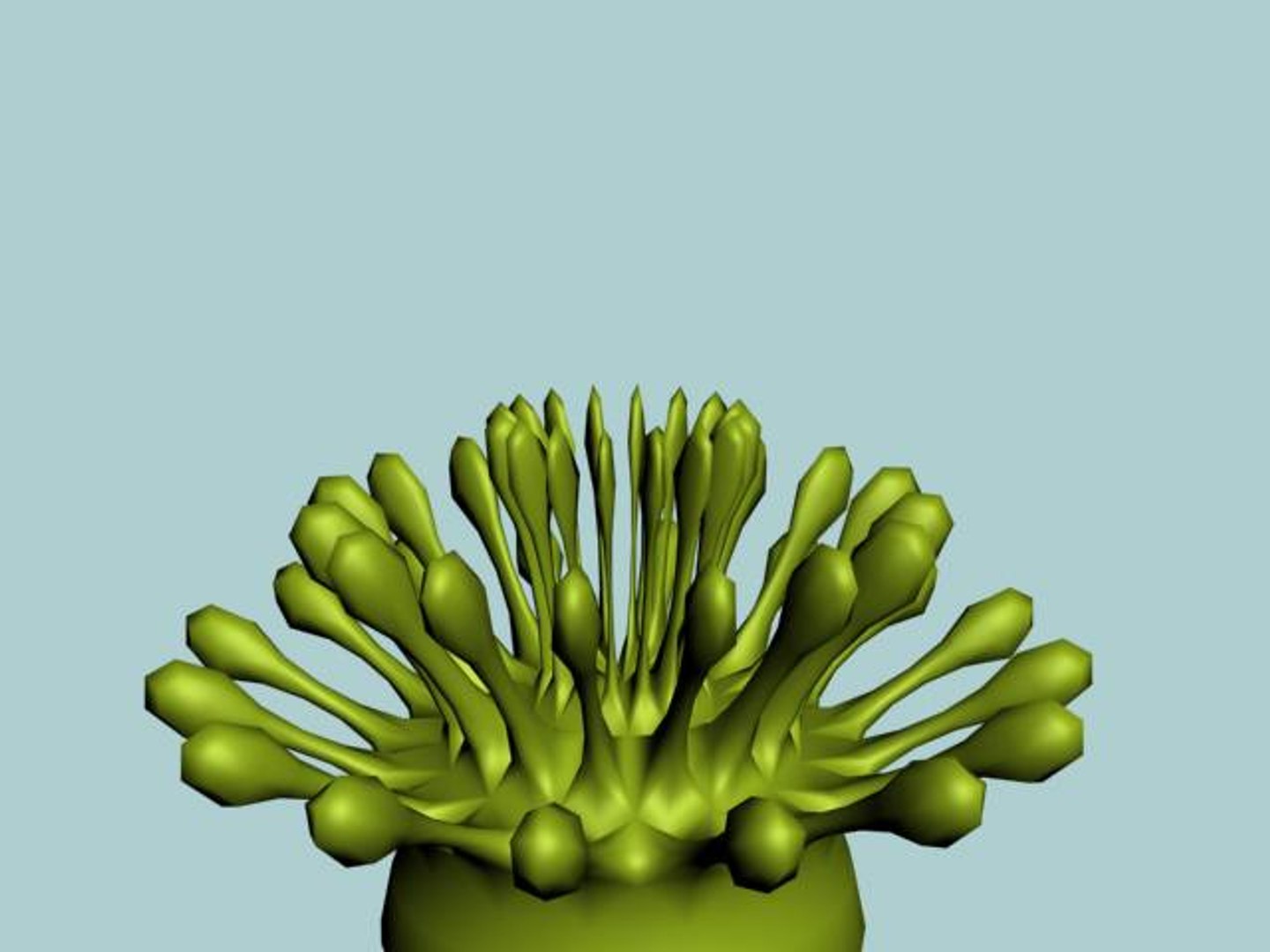 3d cactus model