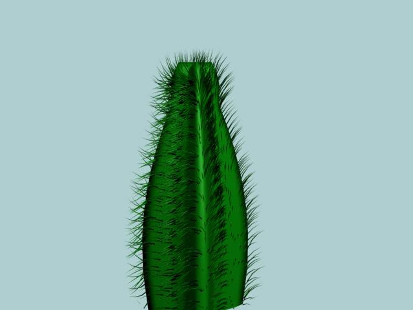 3d cactus model