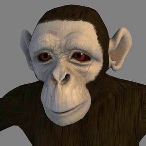 Monkey 3D Models for Download | TurboSquid