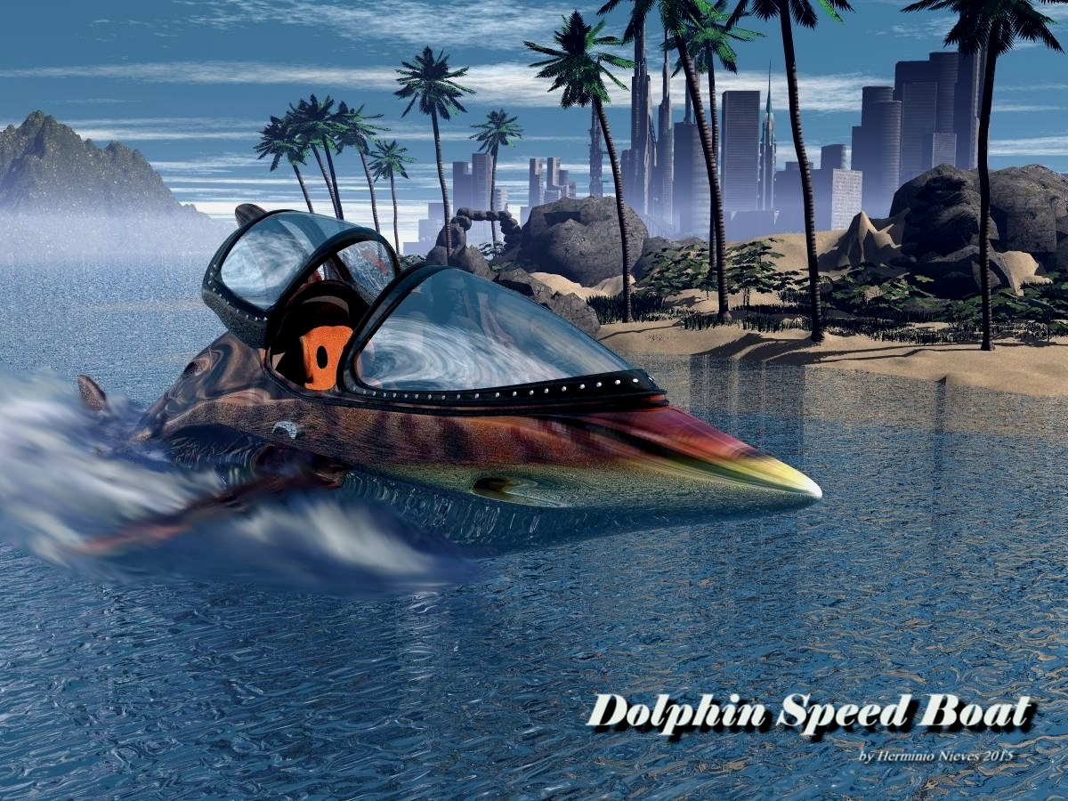 maya speed boat dolphin