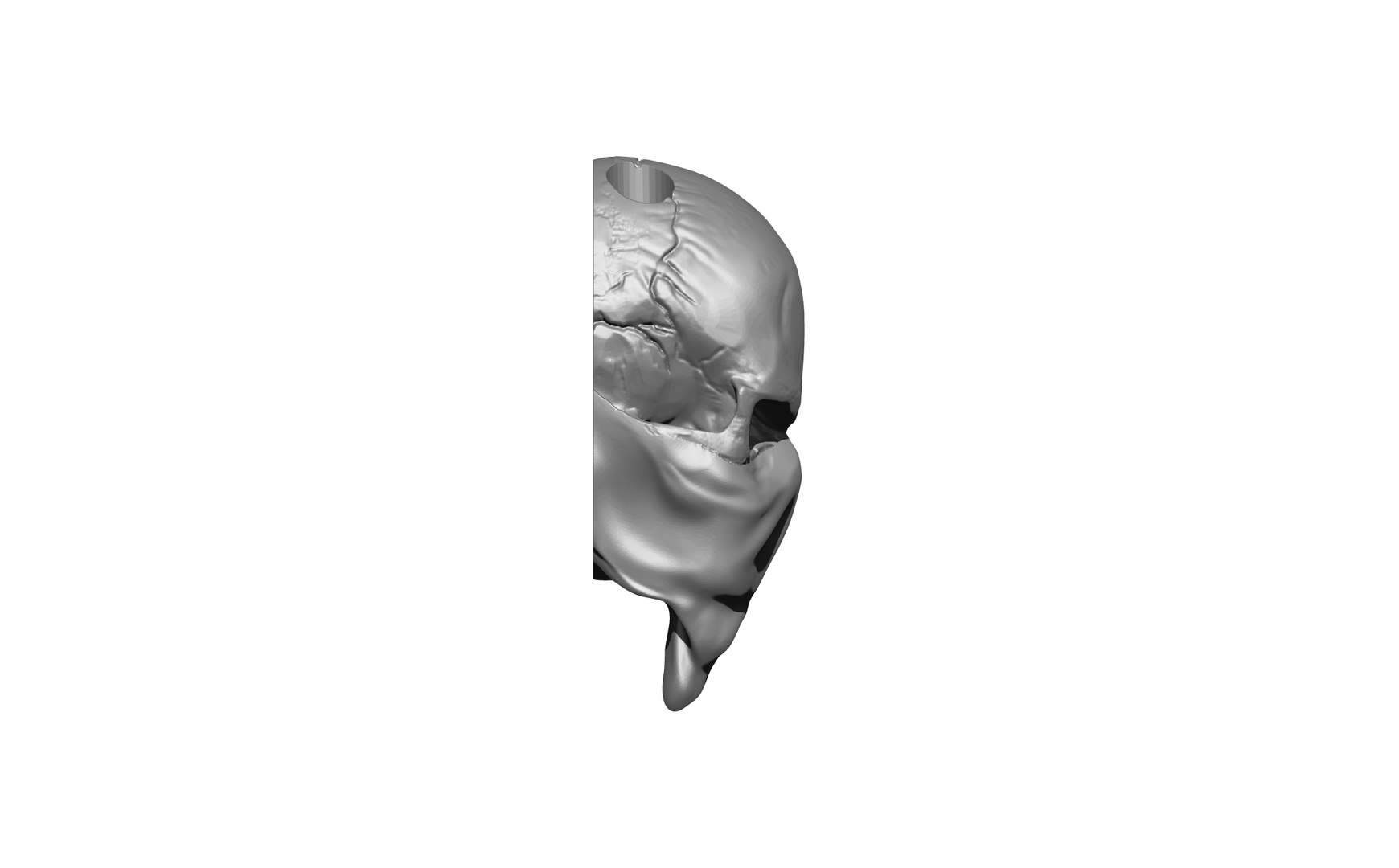 Skeleton Head Skull 3D Model - TurboSquid 2123138