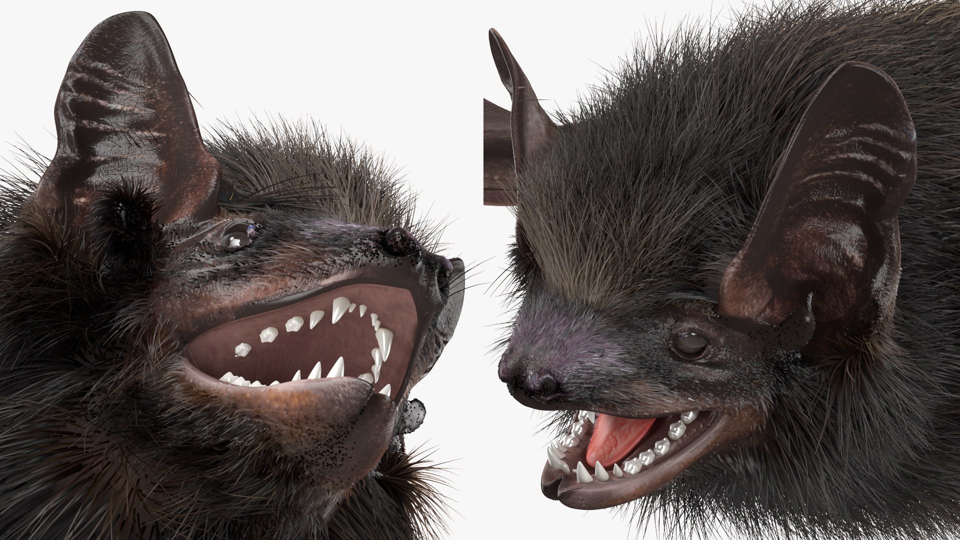 Black Bat Fur 3D Model - TurboSquid 1856508