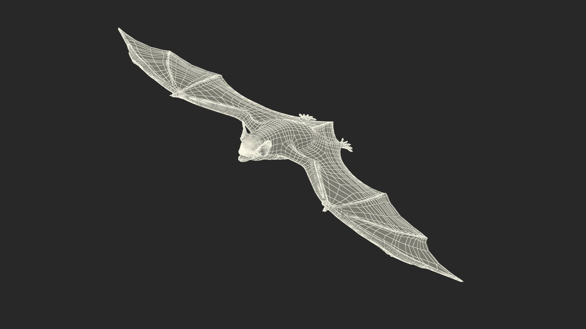 Black Bat Fur 3D Model - TurboSquid 1856508