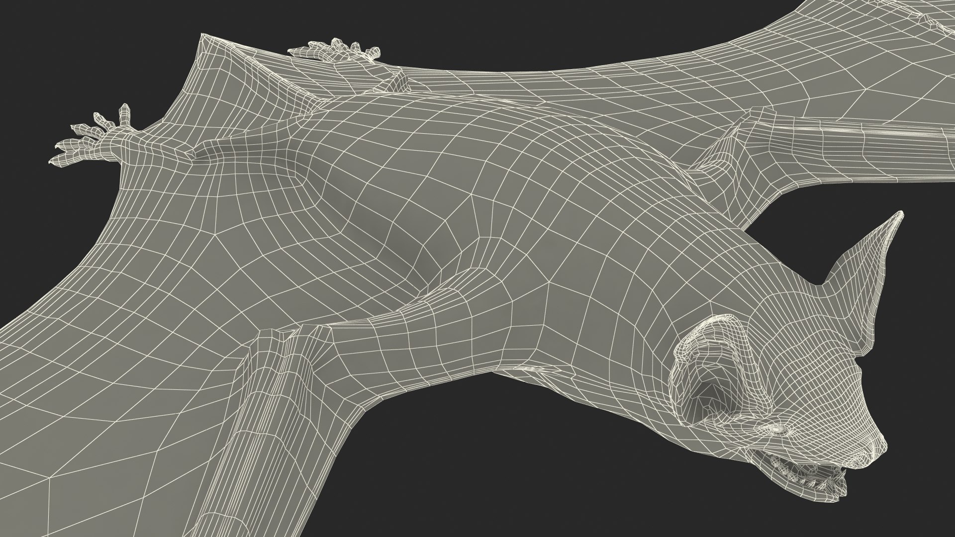 Black Bat Fur 3D Model - TurboSquid 1856508