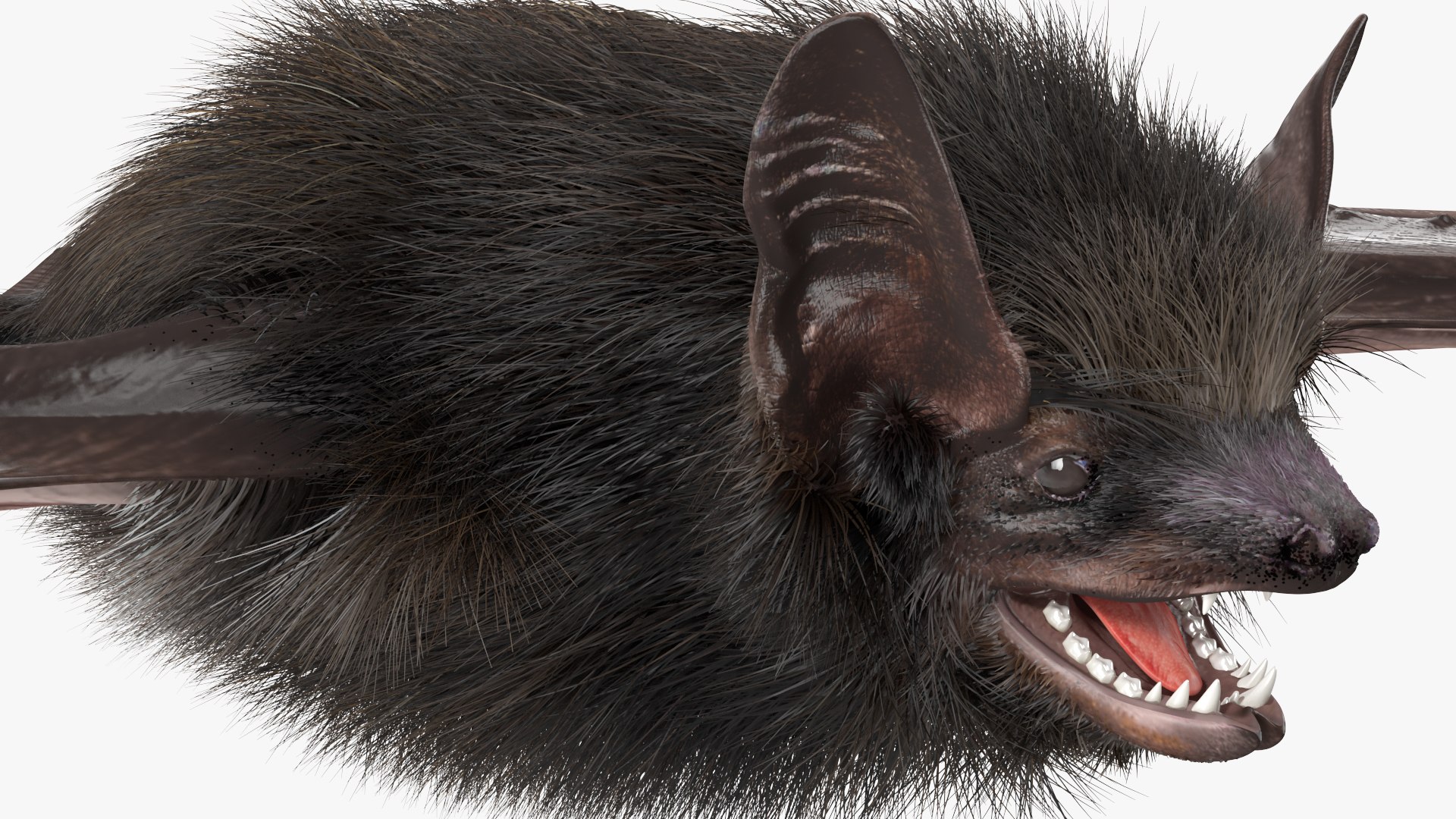 Black Bat Fur 3D Model - TurboSquid 1856508