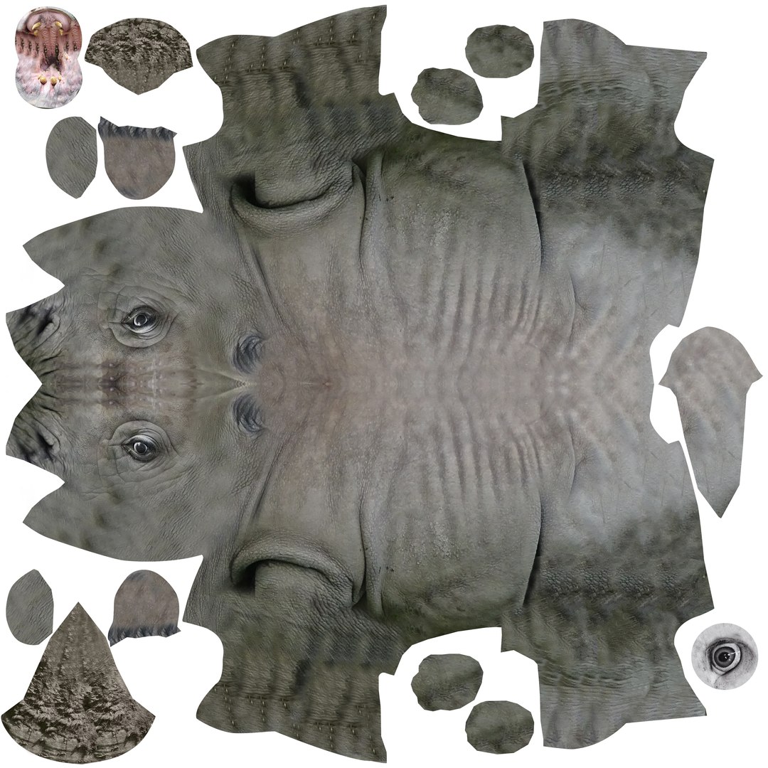 Realistic Rhino Rigged 3D Model - TurboSquid 1265217