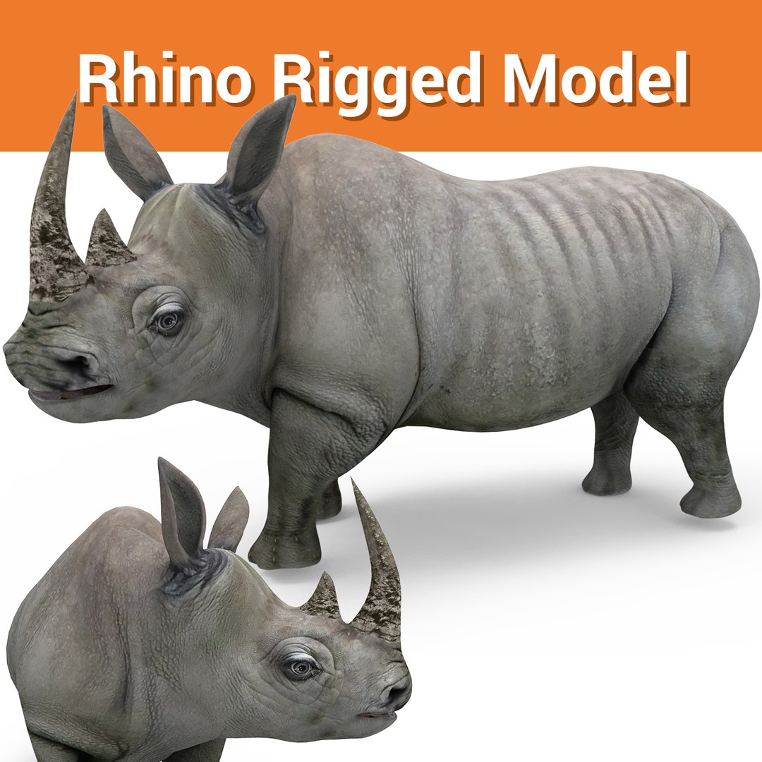 Realistic Rhino Rigged 3D Model - TurboSquid 1265217